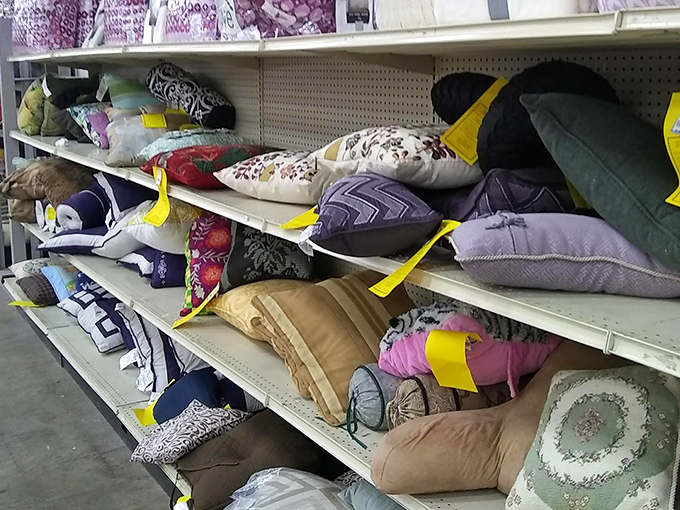 Decorative pillow mountain—each one previously purchased with great enthusiasm, briefly displayed, then donated in Marie Kondo-inspired clarity.