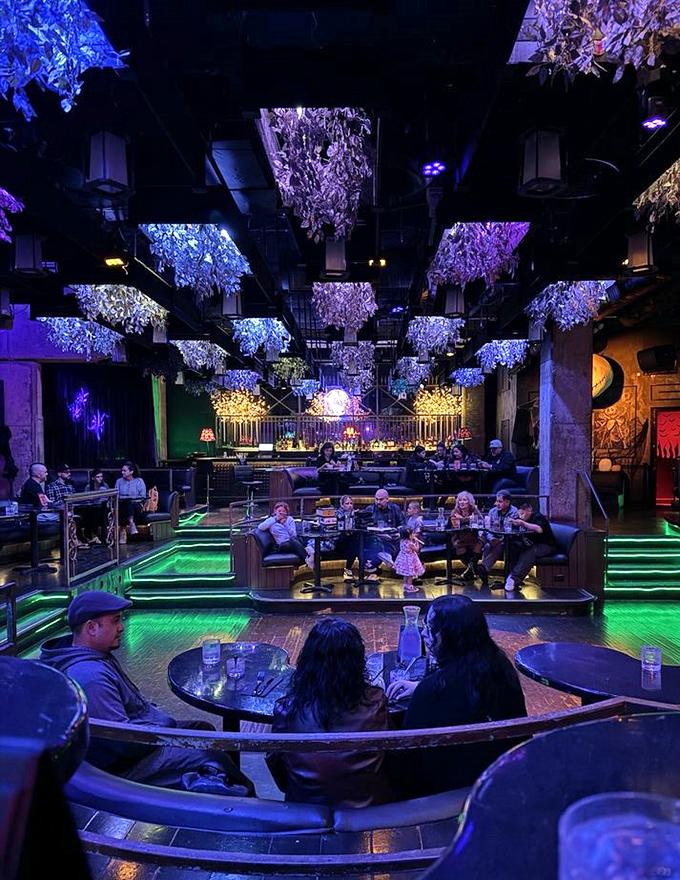 Multi-level seating creates intimate dining nooks where every table feels like a private show. 
