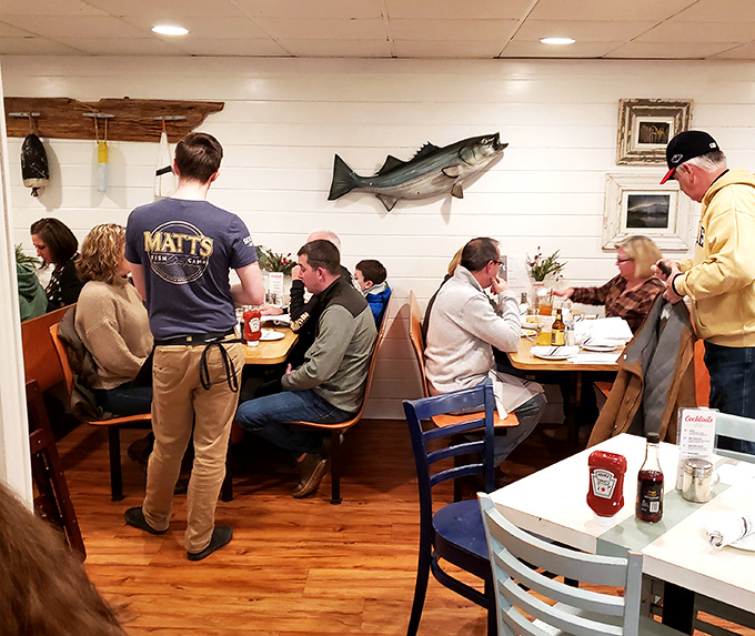 The dining room hums with the universal language of good eating—where strangers become friends over the shared religion of fresh seafood.