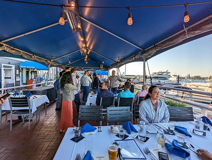 Outdoor dining with that California glow—where the people-watching rivals the boat-watching for entertainment value.