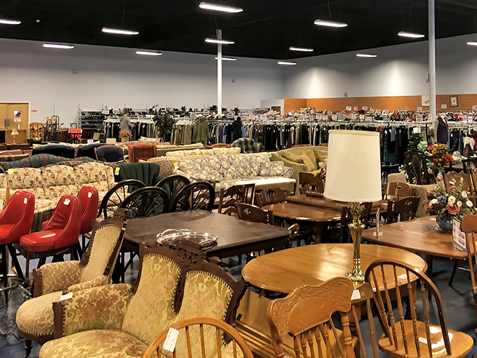 Furniture democracy in action—mid-century classics rubbing shoulders with country chic pieces in a harmonious secondhand symphony.