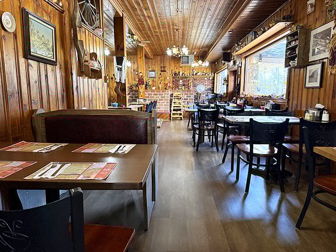 The dining room feels like it was designed by someone who actually understands what makes people comfortable. Novel concept!