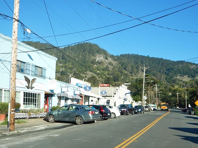 Downtown Stinson Beach – where "rush hour" means three cars waiting to park and the biggest business decision is ice cream or coffee first.
