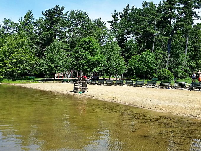 Eagles Mere Beach offers the perfect summer escape – crystal clear water without the annoyance of salt, sharks, or overpriced umbrella rentals.