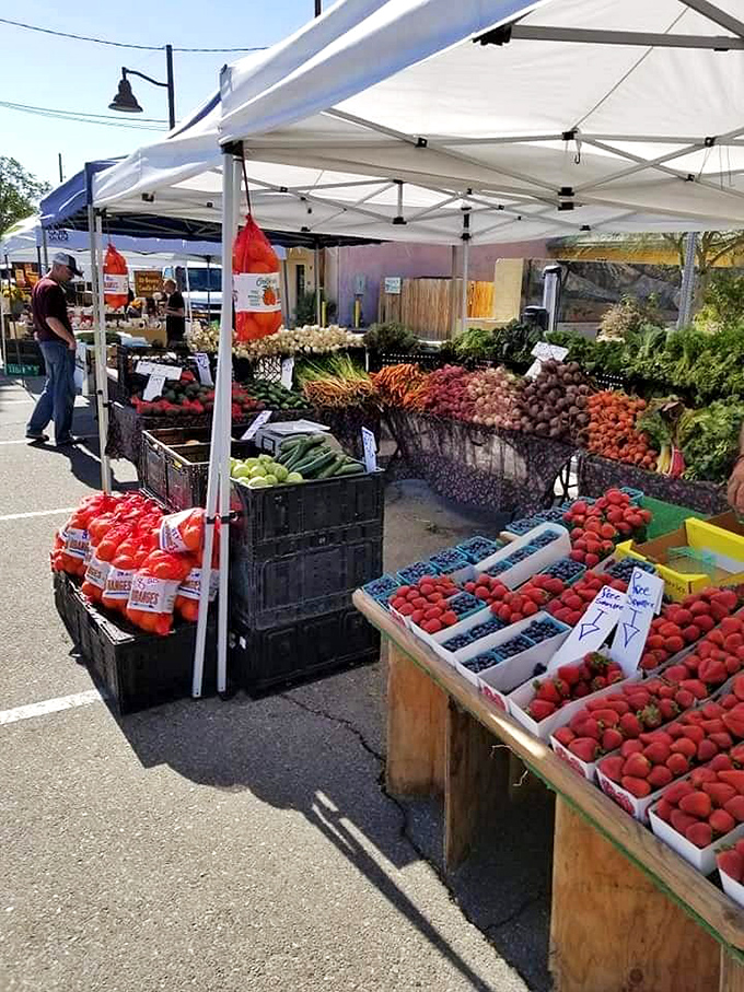 Desert dwellers know the secret—fresh produce tastes even better when you're surrounded by a landscape where nothing should logically grow.