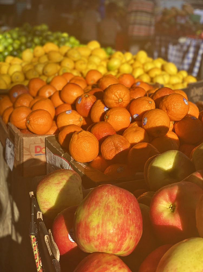 Nature's candy store—where apples and oranges aren't being compared, but celebrated side by side in perfect, sun-kissed harmony.