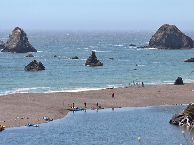 Goat Rock Beach, where nature arranged those dramatic sea stacks specifically to make your vacation photos look like professional travel magazine covers.
