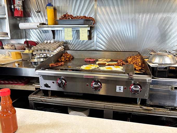 The griddle—hallowed ground where breakfast dreams materialize amid sizzling symphonies and the choreographed dance of short-order mastery.