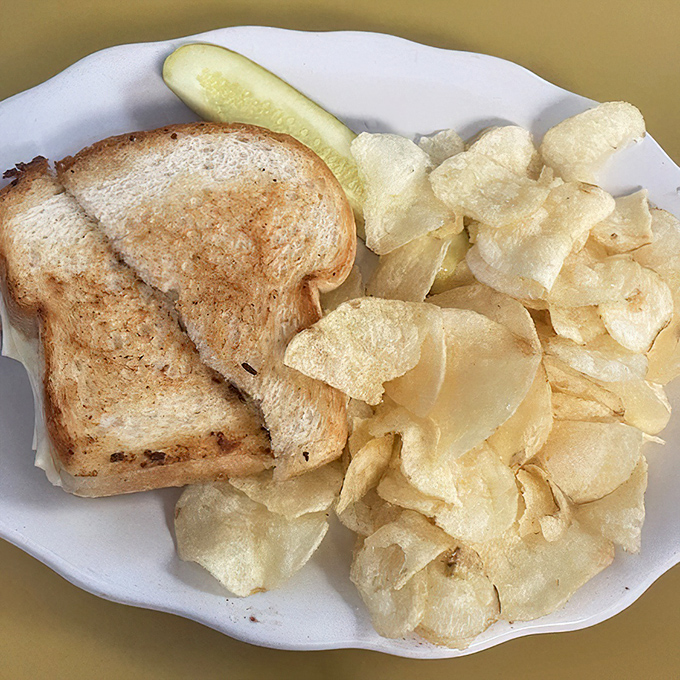A grilled cheese sandwich that achieves the perfect golden ratio. Those potato chips aren't just a side—they're crunchy supporting actors in this lunch drama.