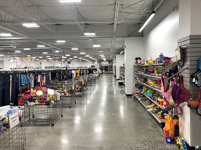 Wide, clean aisles invite exploration without the claustrophobic squeeze typical of lesser thrift establishments—breathing room included at no extra charge.