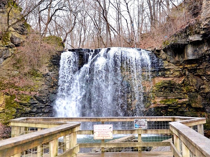 Spring at Hayden Falls: when water levels peak and the cascade performs its Grammy-worthy greatest hits at maximum volume.