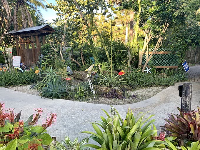 Tropical gardens burst with color and texture, proving that retirement hobbies can be both beautiful and slightly addictive.
