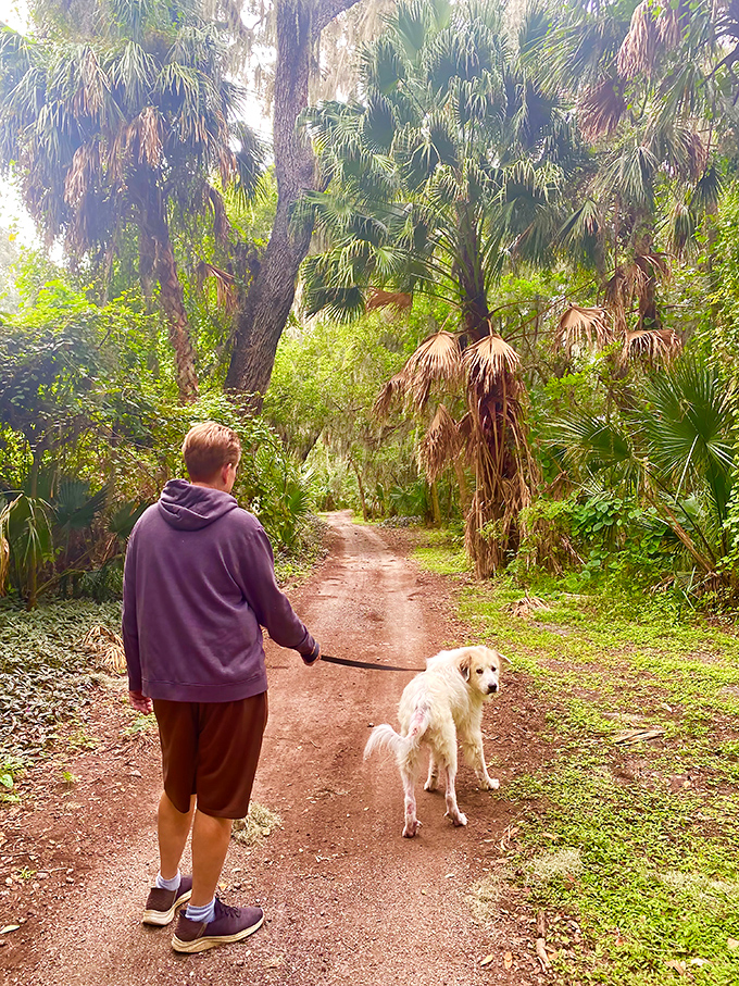A man, his dog, and a palm-lined trail—the Florida version of a Norman Rockwell painting, just with more humidity and fewer sweaters.