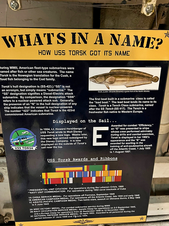 What's in a name? The Torsk was named after a cod-like fish, proving that even fearsome war machines can have surprisingly humble origins.