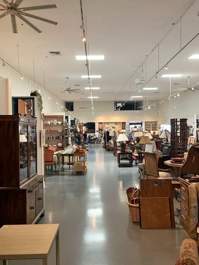 Wide aisles and thoughtful displays transform treasure hunting from chaotic excavation to pleasant exploration – archaeology without the dirt.