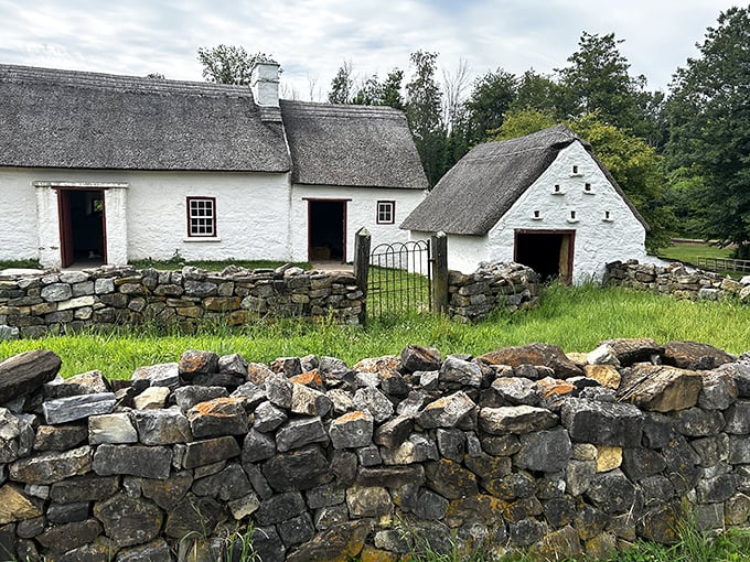 Stone walls and thatched roofs—the original tiny house movement. This Irish farmstead shows how settlers maximized limited resources with remarkable ingenuity.