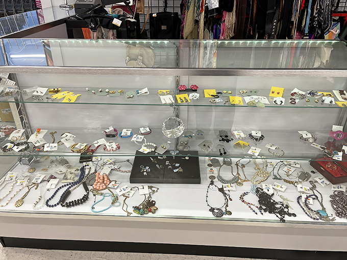Glittering possibilities await in the jewelry case—where vintage brooches and contemporary beads coexist in sparkling harmony.
