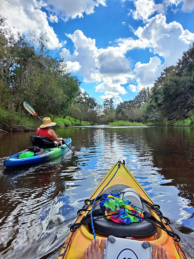 Kayaking these gentle waters feels like floating through a living postcard – the ultimate Florida screen saver come to life.