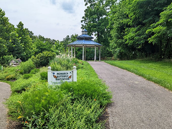 The Monarch Butterfly Waystation and gazebo create a picturesque sanctuary for both winged visitors and humans seeking a moment of tranquility.