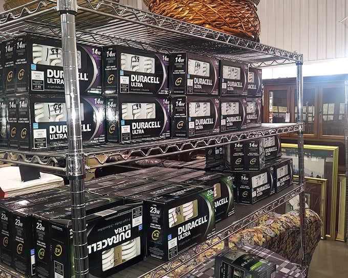 Battery heaven or prepper paradise? Either way, there's something oddly satisfying about seeing this many Duracells in one place.