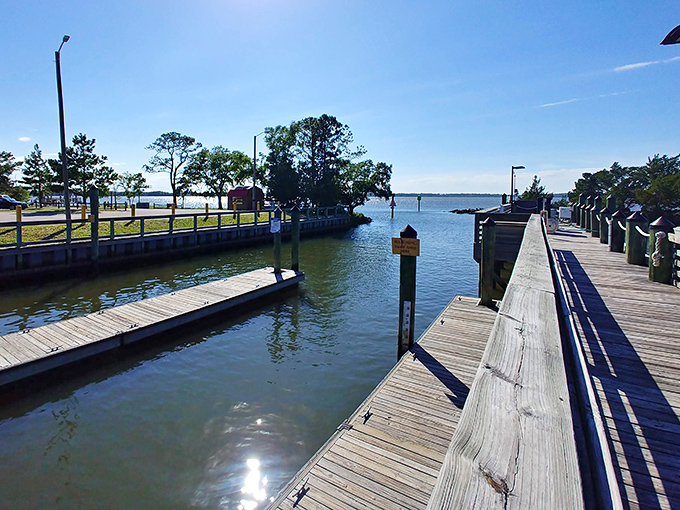The marina boardwalk – where fishing stories grow taller by the minute and the only rush hour involves tide schedules.