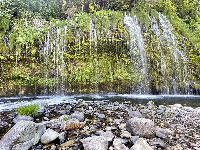 Mossbrae Falls doesn't just fall—it weeps with beauty. A curtain of water draped over vibrant moss creates nature's version of performance art.