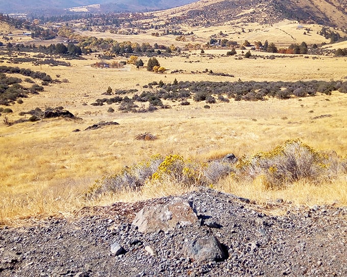 Golden hills roll toward distant mountains, showcasing the landscape that first drew prospectors. The real gold of Yreka might just be these views.