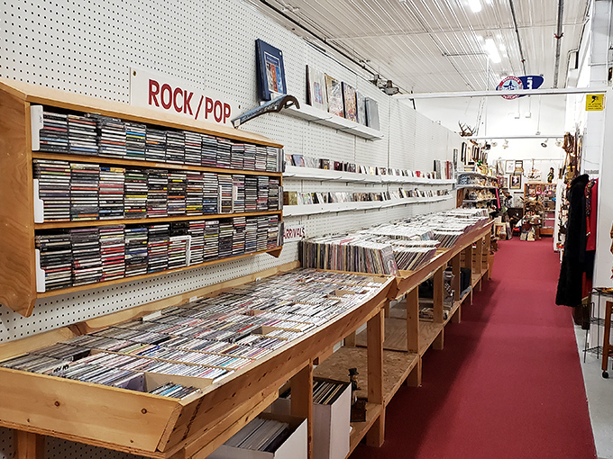 Vinyl paradise for music lovers who know albums weren't meant to be invisible files on a phone but tangible pieces of art.