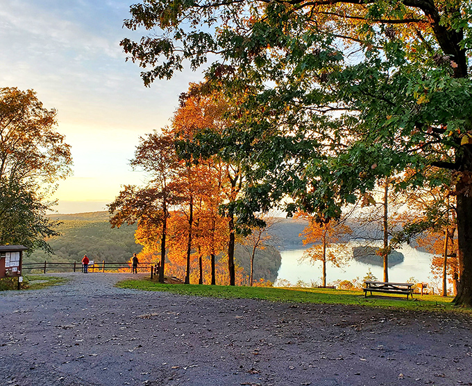 Autumn transforms the overlook into a kaleidoscope of color. Fall foliage frames the Susquehanna River, proving that nature's palette outshines any human artist.