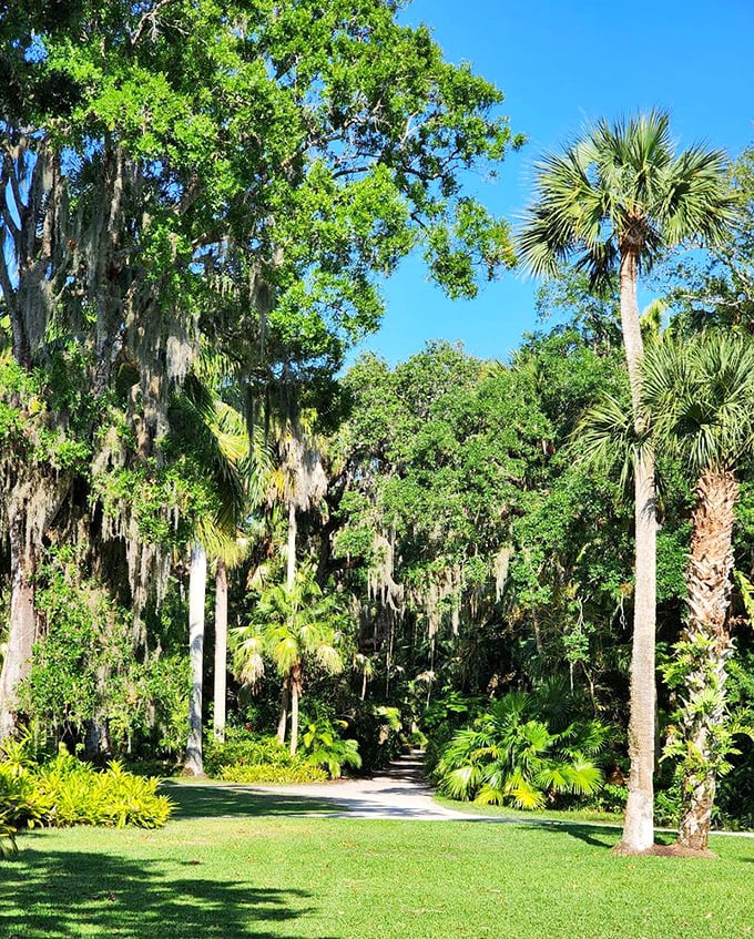 Spanish moss drapes from ancient oaks, framing a path that beckons visitors deeper into this tropical paradise.