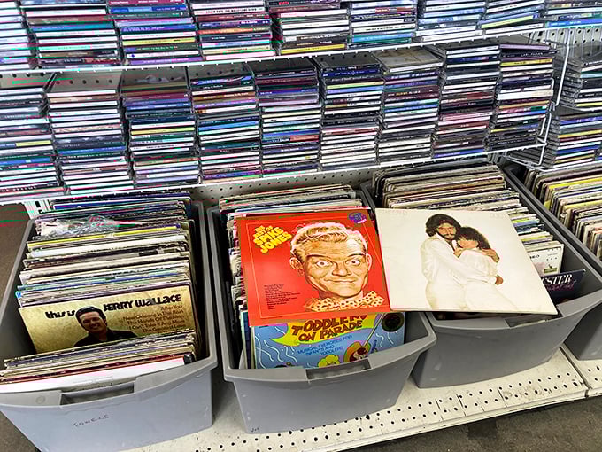 Vinyl paradise for music lovers—each bin a mixtape of decades past. Albums that once soundtracked teenagers' bedrooms now await rediscovery by new ears.