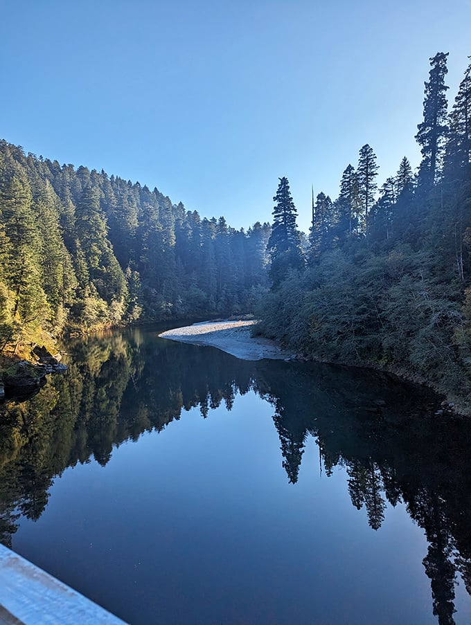 Mirror-perfect reflections double the majesty of this forest sanctuary. The trees have been practicing their poses for centuries.
