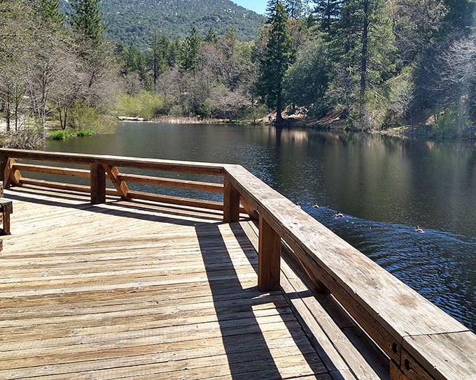 A wooden deck extends over calm waters, offering the perfect stage for contemplation or that "I'm on vacation" selfie you've been planning.