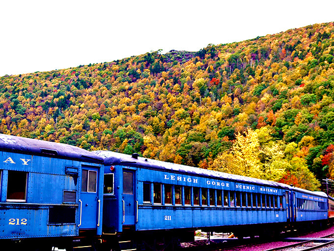 Fall foliage creates nature's perfect backdrop for these blue coaches—like they're rolling through a painting that refuses to dry.