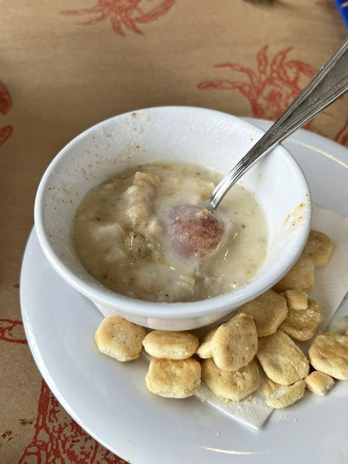 A bowl of creamy seafood chowder surrounded by oyster crackers – comfort food that somehow manages to taste like both grandma's kitchen and the open sea.