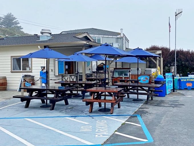 Al fresco dining, Bodega Bay style. Those blue umbrellas have witnessed countless "Oh my God" first-bite reactions over the years.