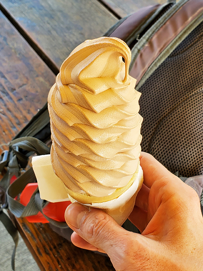The soft serve swirl—a simple pleasure that brings out the kid in everyone. In a world of complicated desserts, this timeless treat remains undefeated.