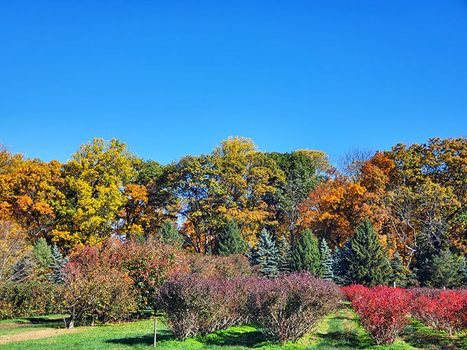 Autumn's grand finale paints the landscape in colors that would make any artist weep with envy.