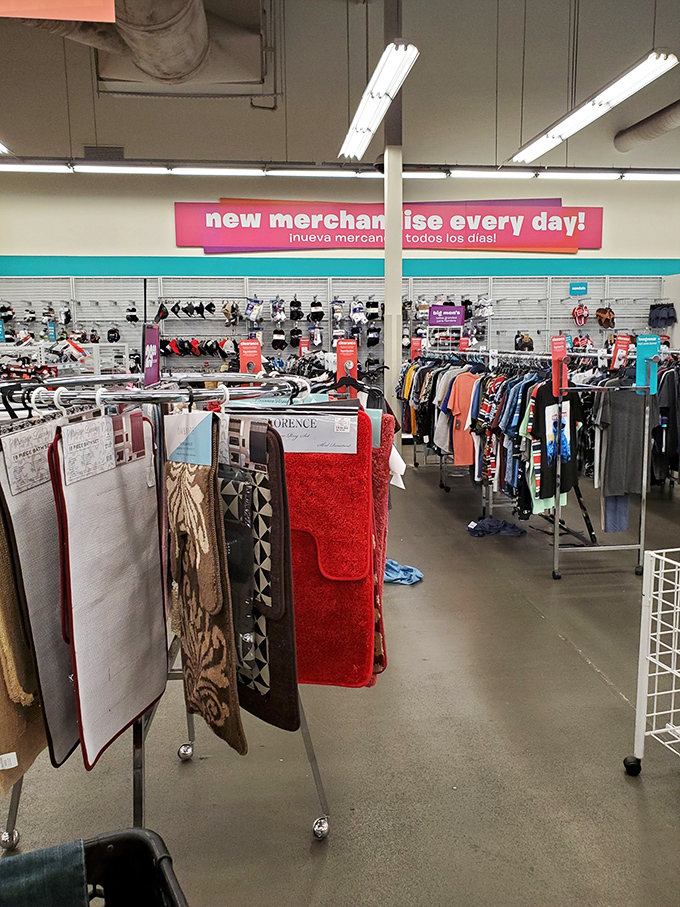 The "new merchandise every day" sign isn't just marketing—it's a promise that keeps treasure hunters coming back regularly.