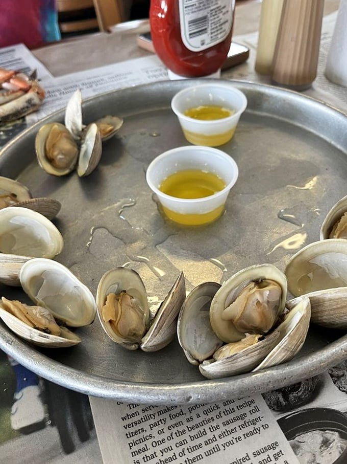 Steamed clams lounging in their shells like tiny seafood celebrities, just waiting for their butter bath.