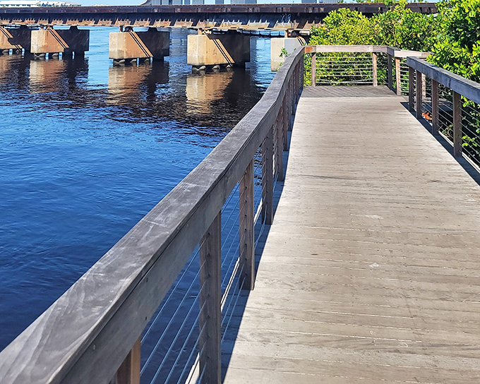 The riverwalk boardwalk – where pelicans dive-bomb for lunch, providing free entertainment that's better than anything on your streaming services.