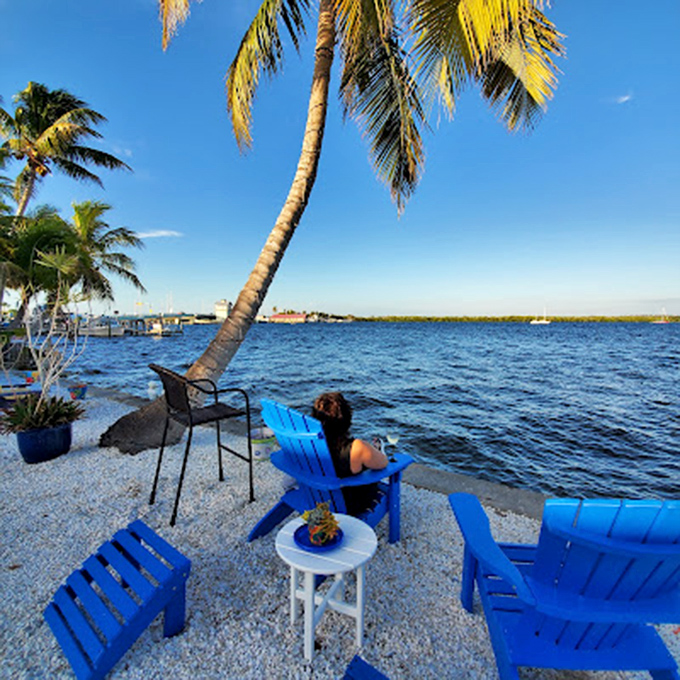 Blue Adirondack chairs under leaning palms—the universal signal that you've found a spot where relaxation isn't just suggested, it's mandatory.