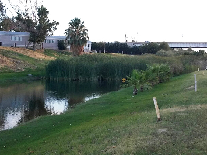 Where water meets reeds meets sky – Blythe's riverside habitats create perfect pockets for wildlife watching and quiet contemplation.