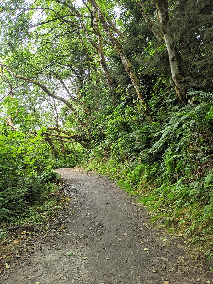 This unassuming trail is the appetizer before the main course—a path that promises adventure with every step.