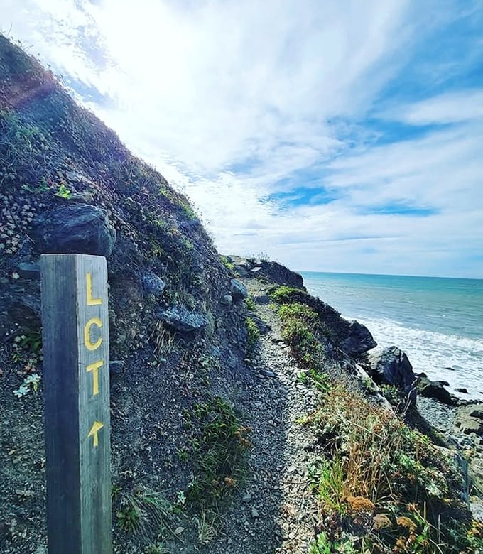 Follow the "LCT" markers along this untamed coastline, where civilization takes a backseat to raw natural beauty.
