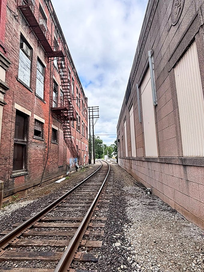 These railroad tracks once carried America's industrial might and now serve as a photogenic reminder that Greenville has always been connected to something bigger.