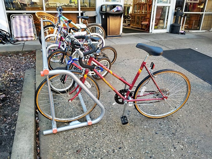 Vintage bikes lined up outside like eager puppies waiting for adoption—each with stories of adventures past and future.
