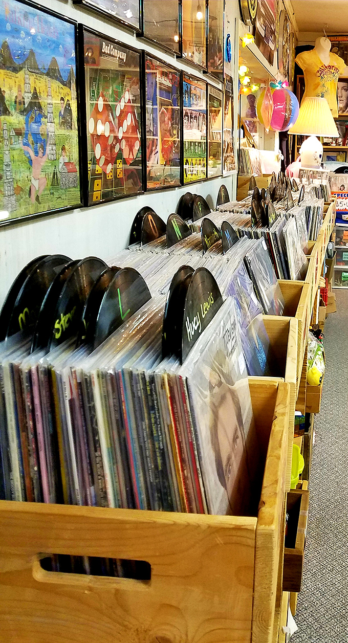 Vinyl paradise for record collectors! These carefully organized albums aren't just music—they're time machines waiting to transport you back decades.