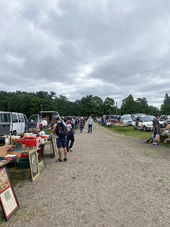 The treasure hunt in full swing—wide pathways filled with possibility. Every glance could lead to that perfect vintage find you didn't know you needed.