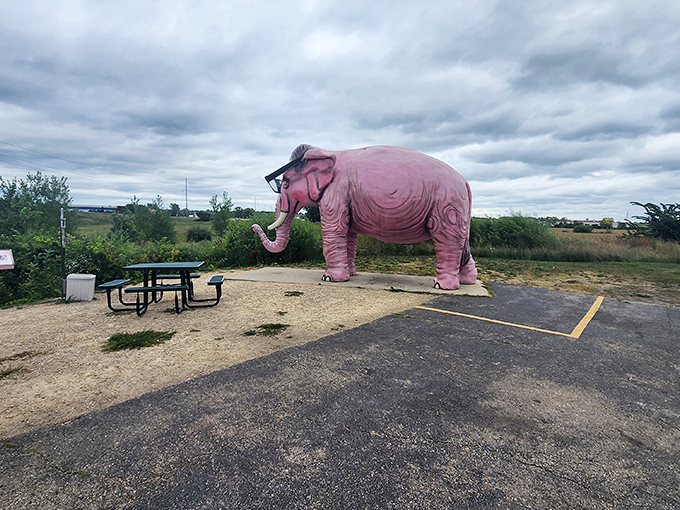 Winter, spring, summer, or fall – this rosy roadside attraction maintains its dignity through all Wisconsin weather conditions.
